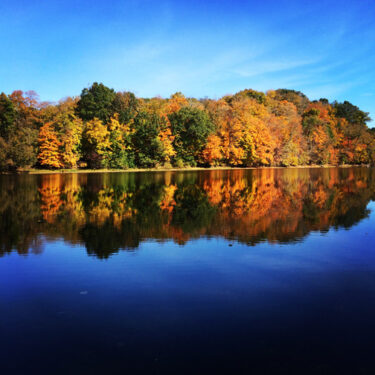 The Beautiful Fall Foliage of the C&O Canal – C&O Canal Trust