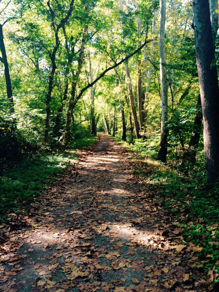 Remote Places Along the C&O Canal to Explore While Socially Distancing ...