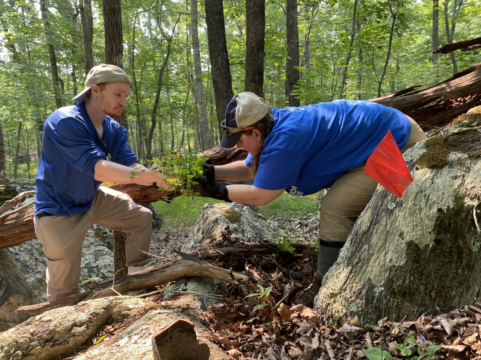 C&O Canal National Historical Park Continues Important Work to Protect ...