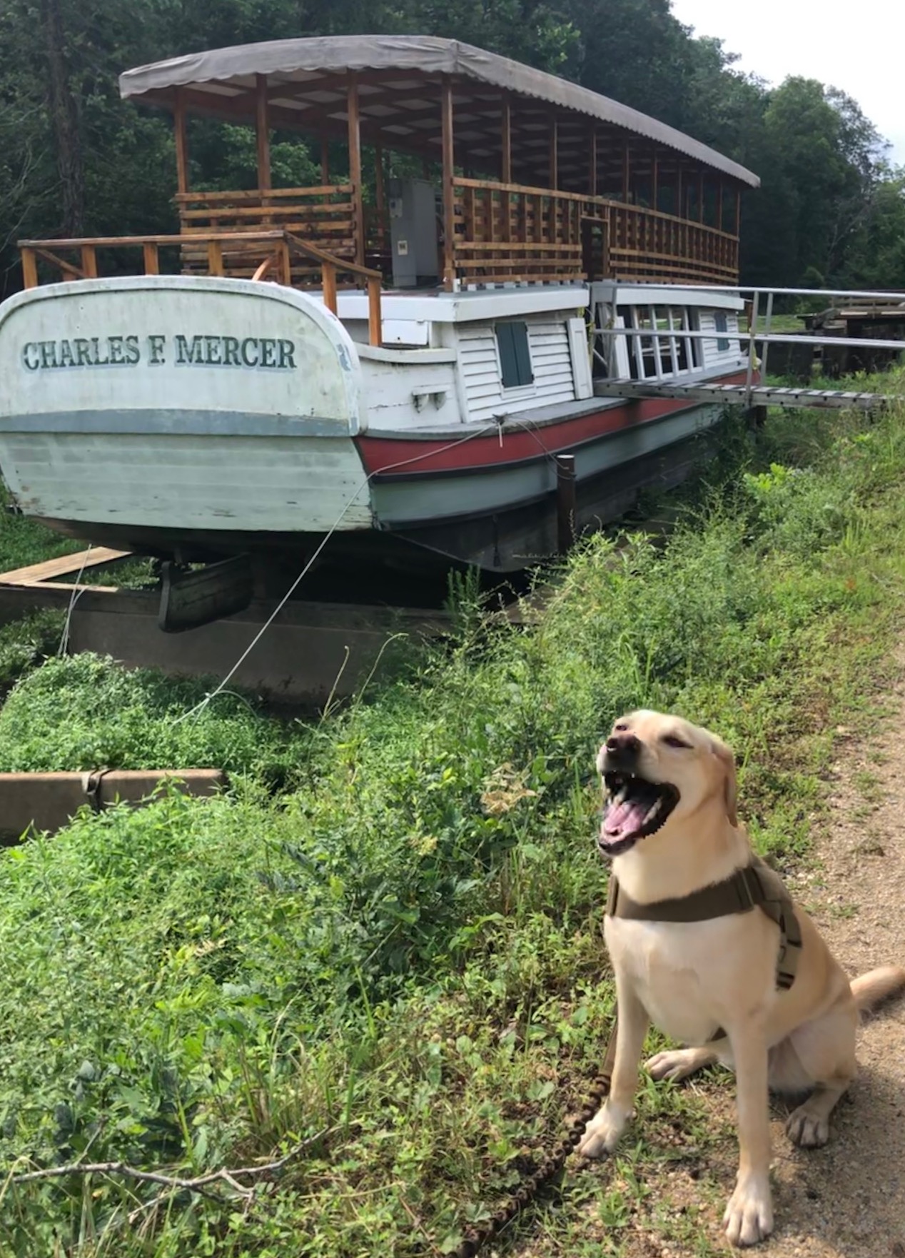 Recreate Responsibly with Your Dog in the C&O Canal National Historical ...