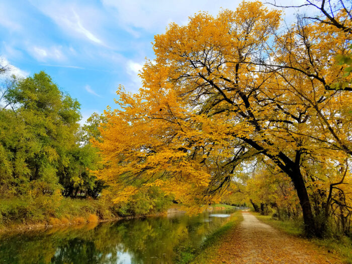 Welcoming Fall in the C&O Canal National Historical Park – C&O Canal Trust