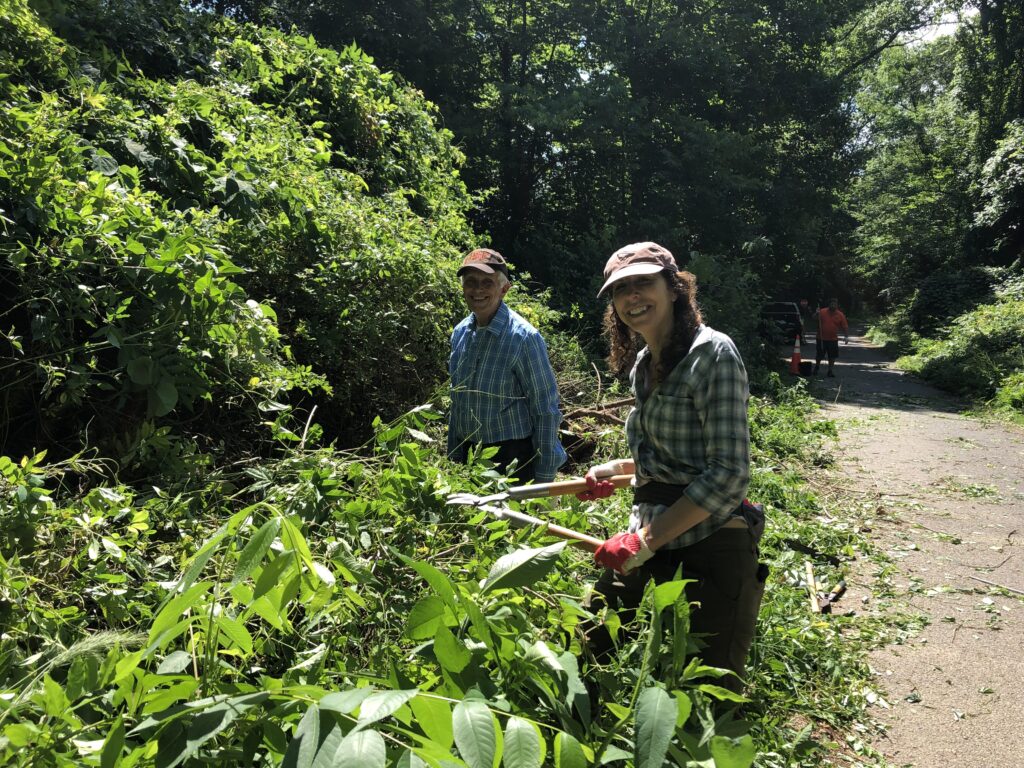 National Park Service Focuses on Invasive Plant Management – C&O Canal ...