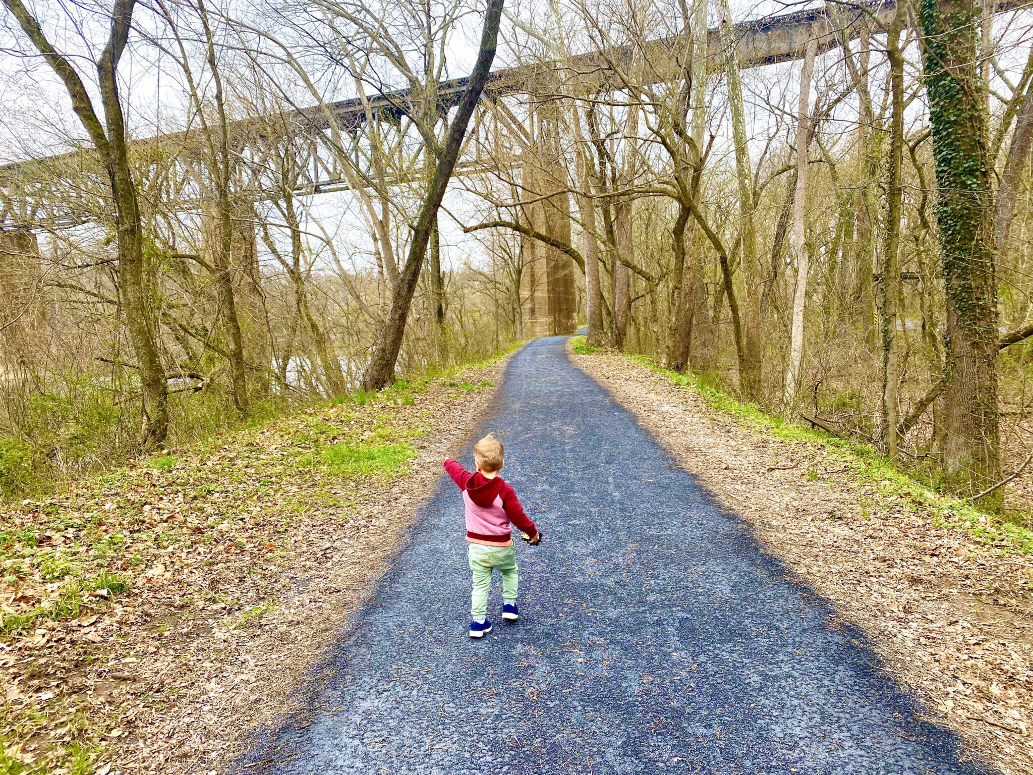 Help us create a safe, smooth C&O Canal towpath! Let your voice be ...